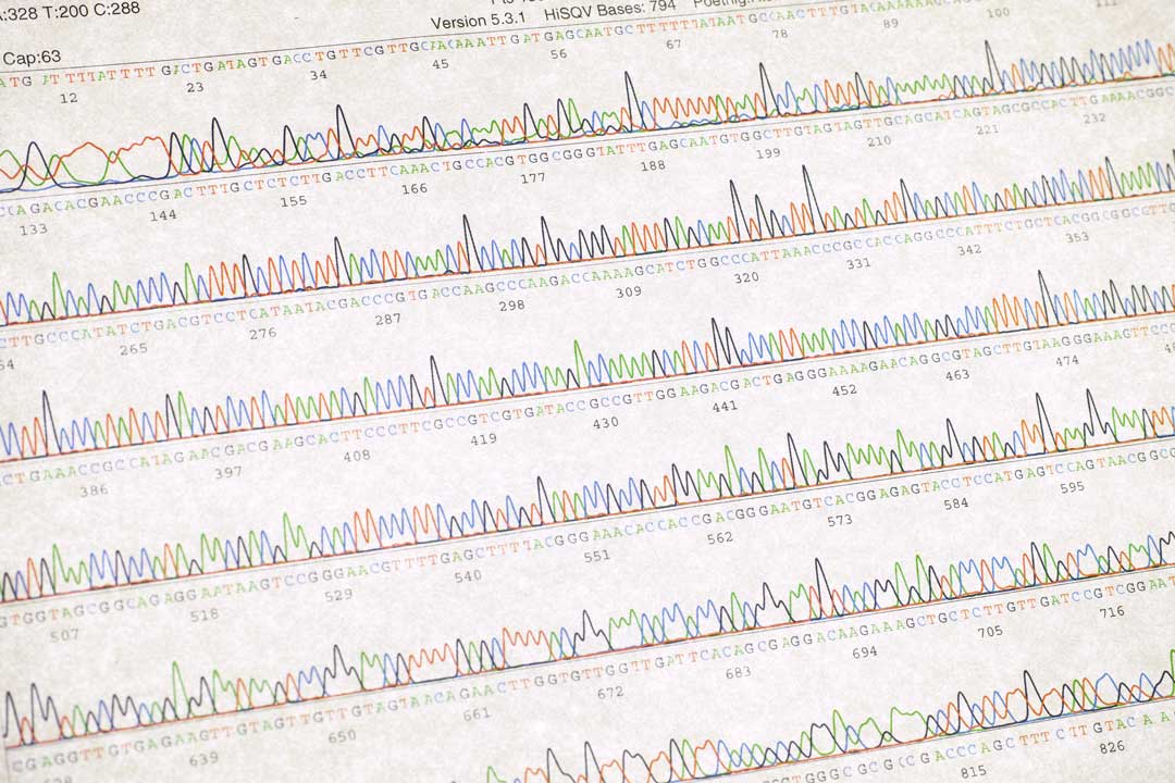 Gene Sequencing - Genetiks